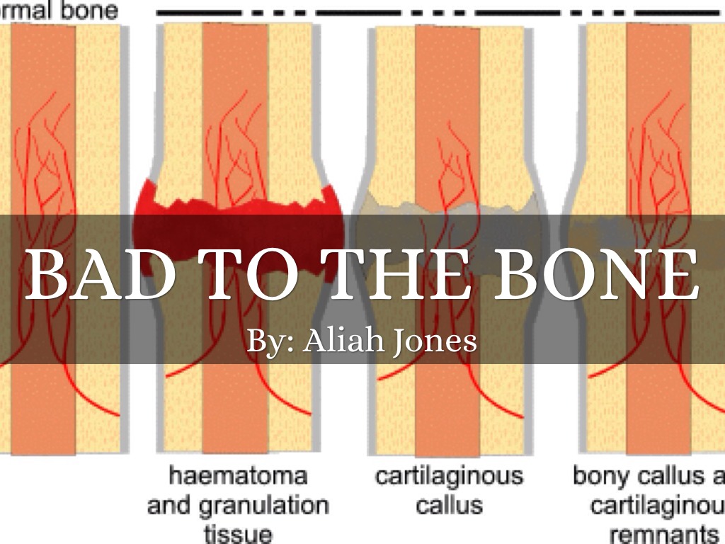 Bad To The Bone! by Aliah Jones