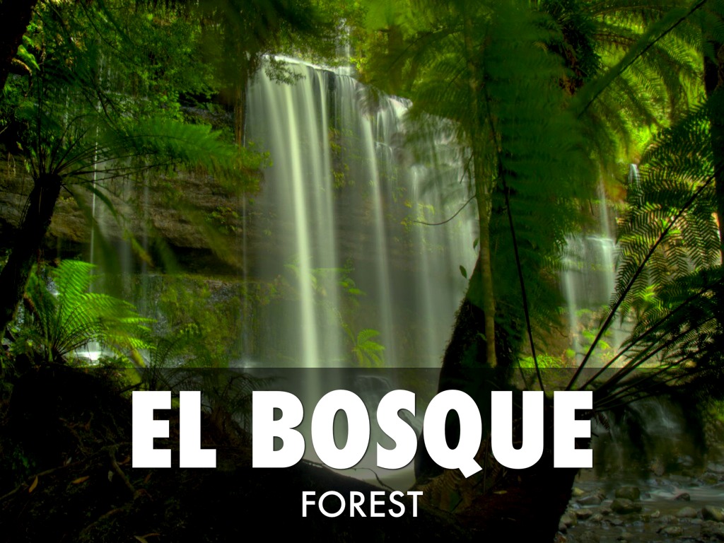 Spanish Vocabulary Unit 1 Lesson 1 by Connor Dryman