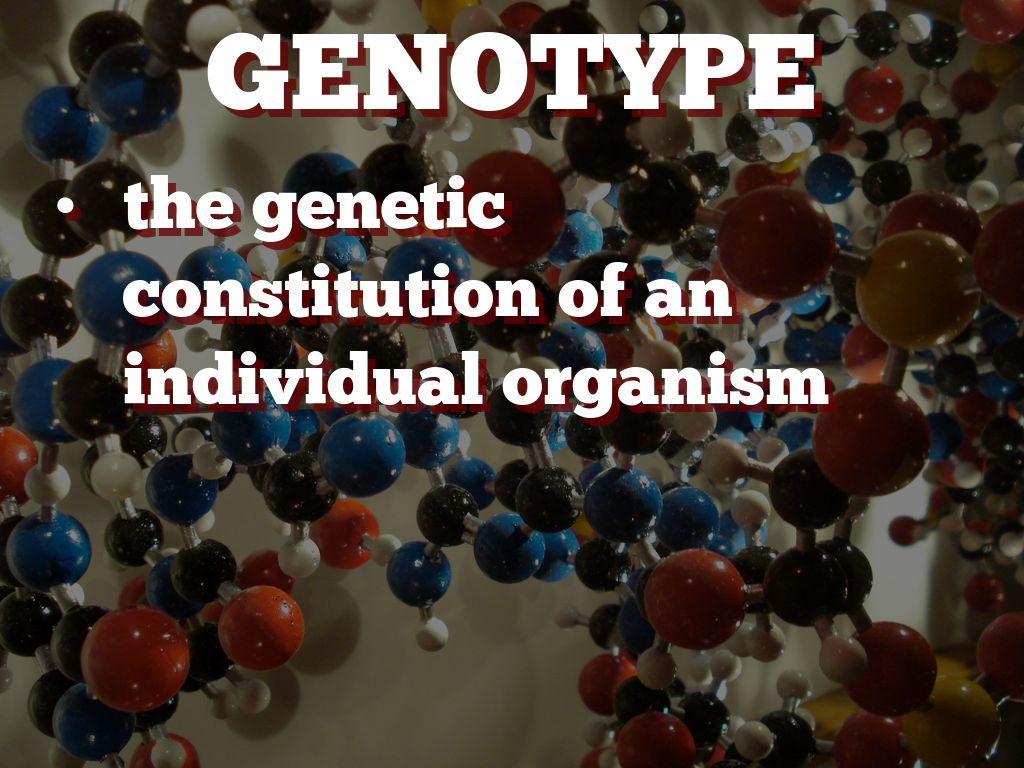 Vocabulary by 1315071265