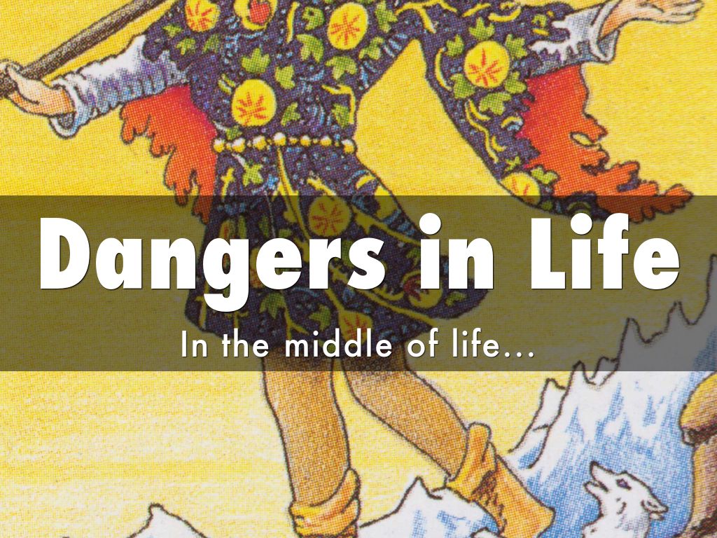 Dangers in Life by Peter Draper