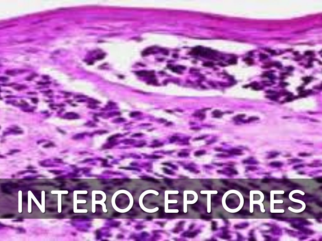 PERCEPCIÓN by martamoysar