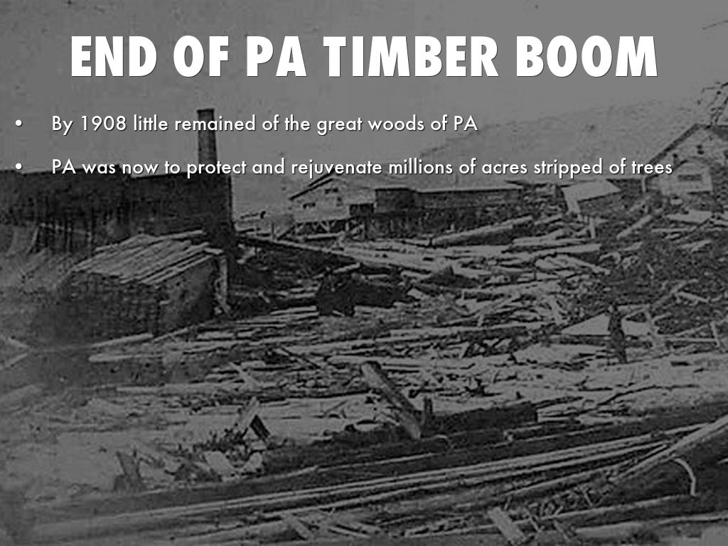 Matt Bean by mbean26