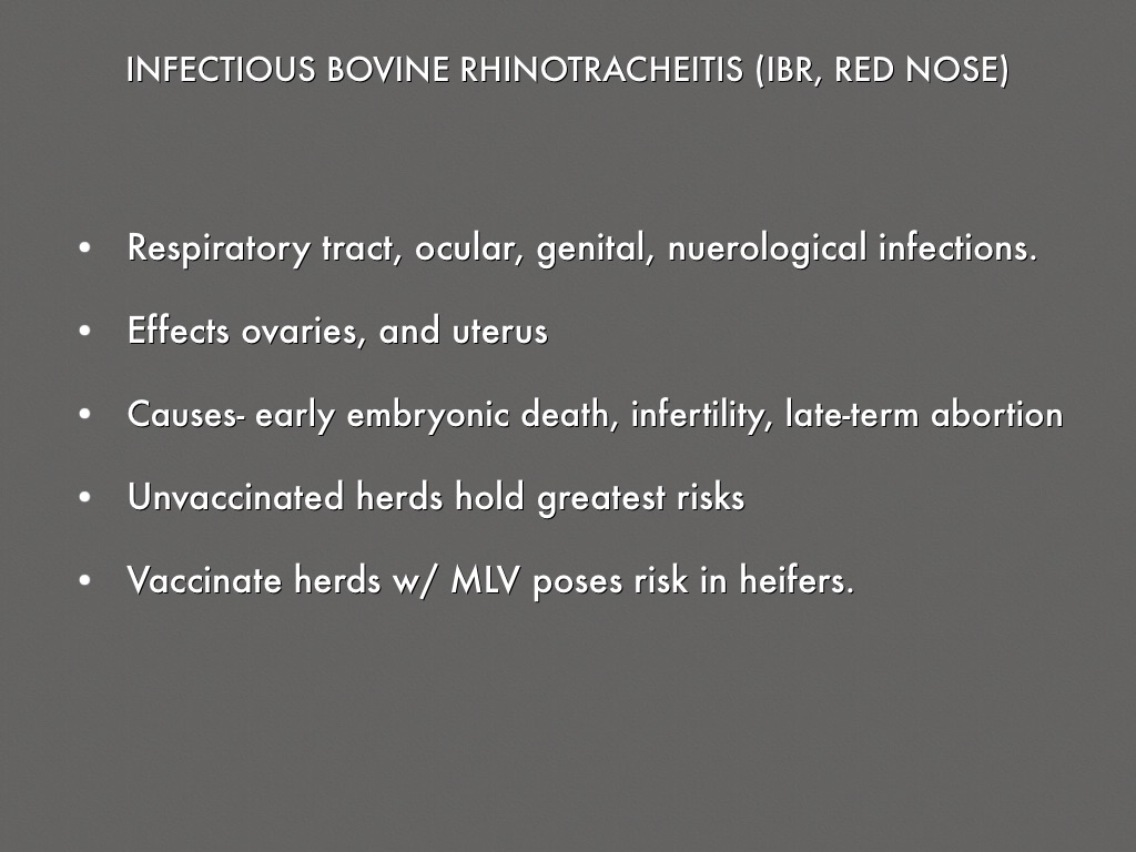 Reproduction Diseases by Mireya Hernandez