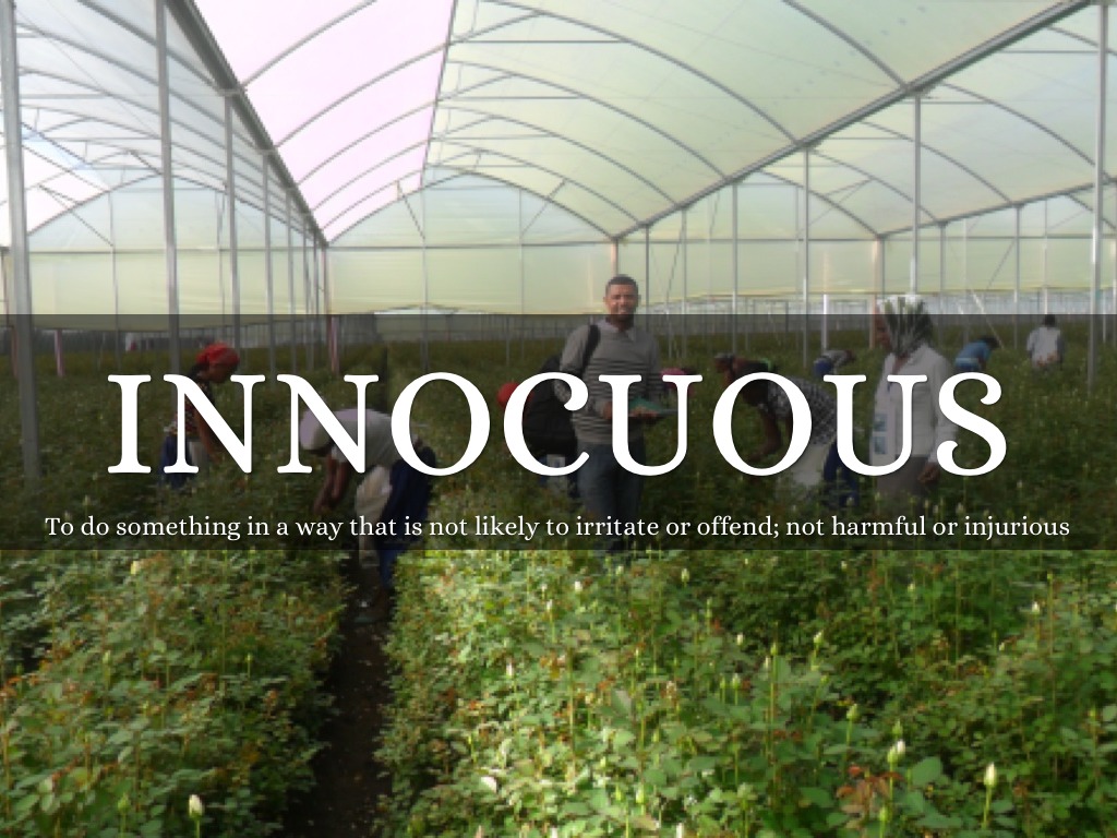 English Project by Nicole Ruppert