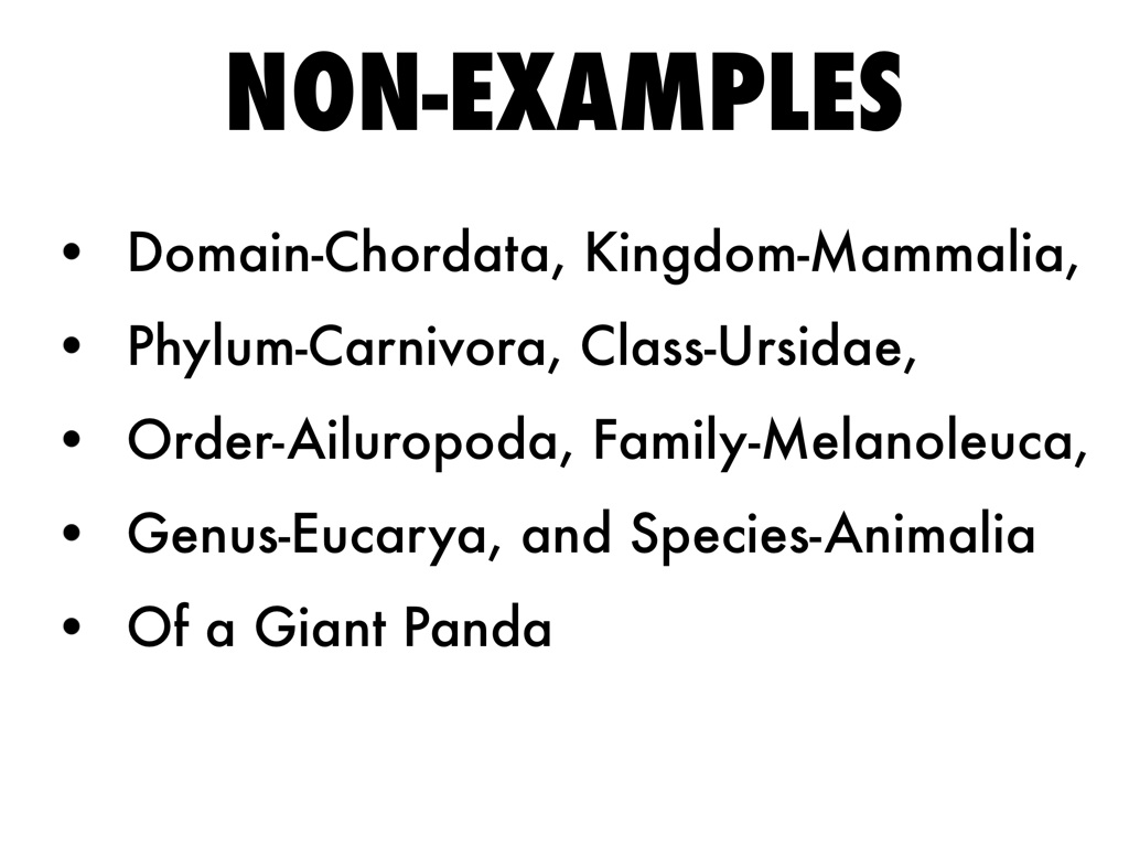 Classification and Domestic Animal by Jasmyn Franklin