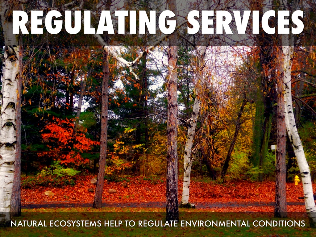 APES Ch. 3 Vocabulary by Rachel Chapman