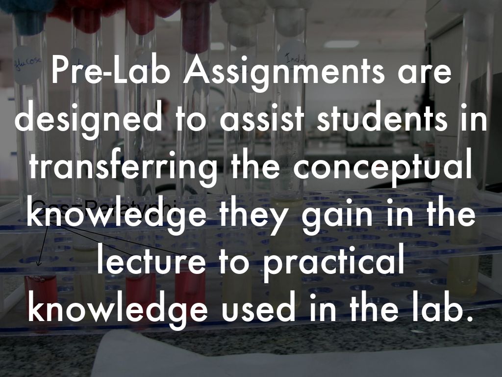 How To Complete A Pre-Lab by Vanessa Ralph