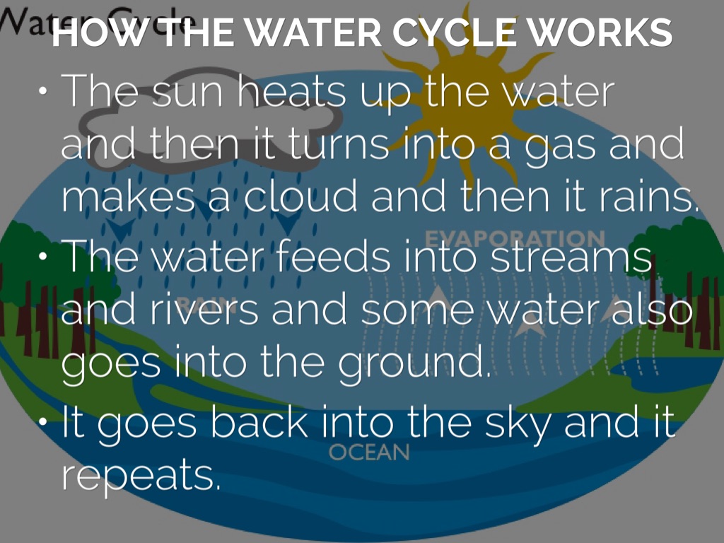 Water Information by Kiera Leal