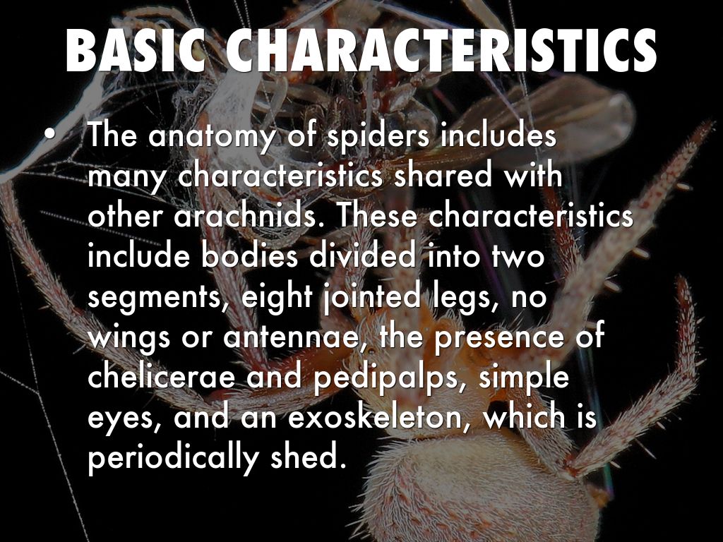 Lean And Dab by Kaleb Heath