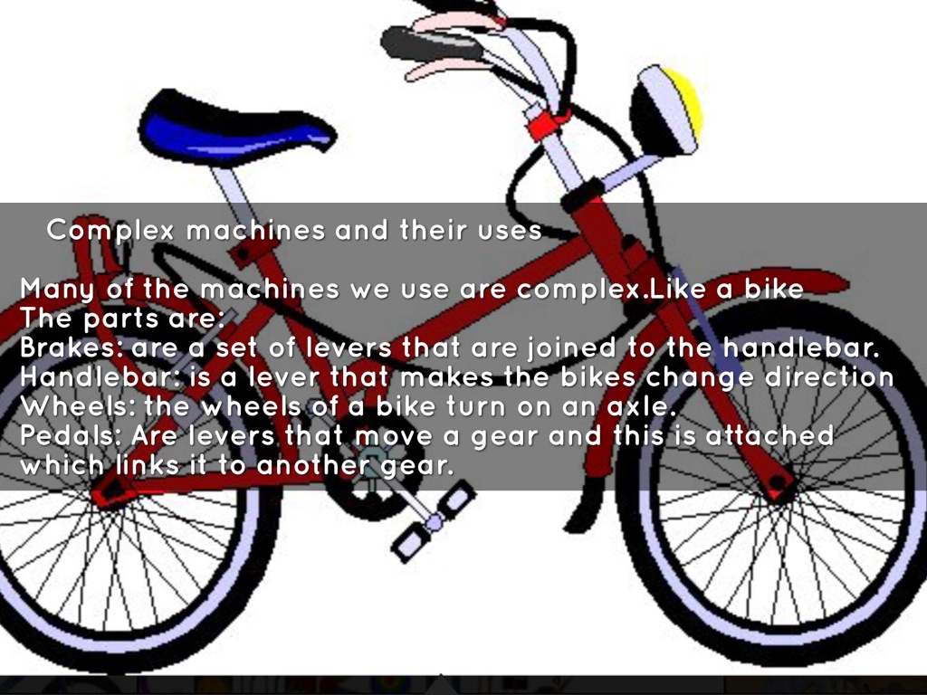 Proyecto Natural Science 3º B by Cristina CaJa