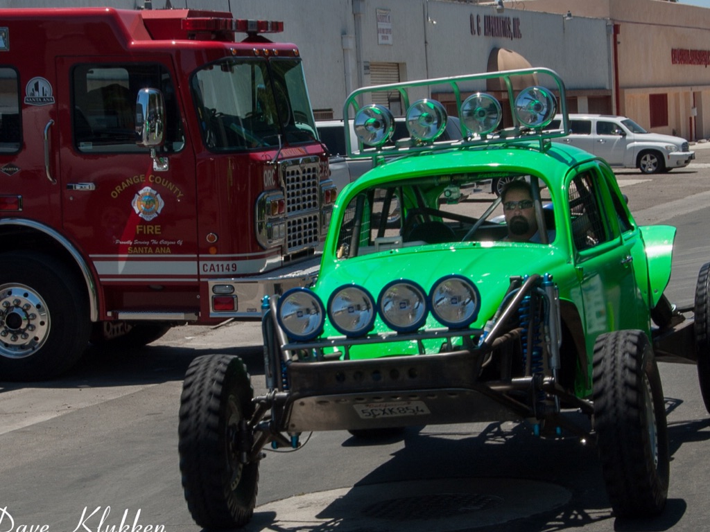 Billy Bunch by Cheryl Bolz