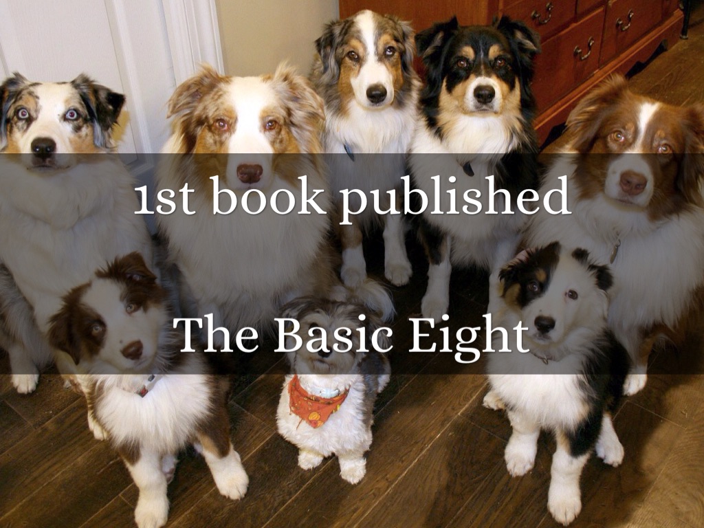 Daniel Handler by Addie Newberry