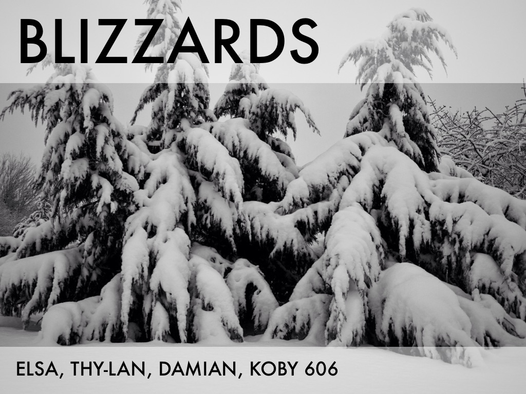 606 Koby, Elsa, Thy-Lan, Damian BLIZZARDS by Mr. Hyman