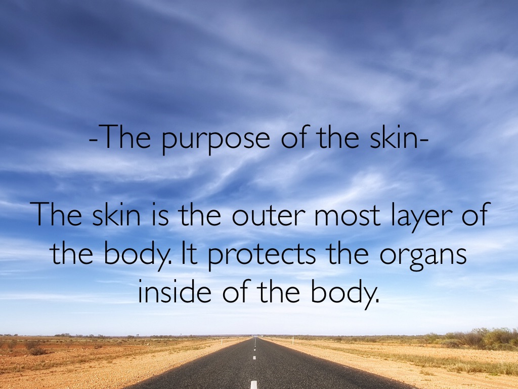 The Skin by Roman Garwood