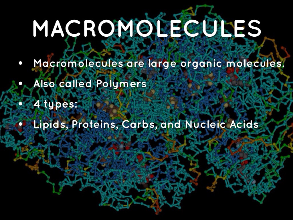 Macromolecules by Mikaela McGee