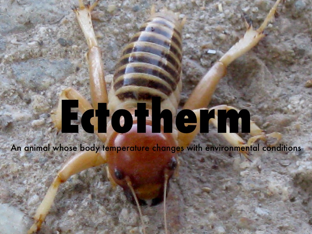 Science ABCs by Miya Jae