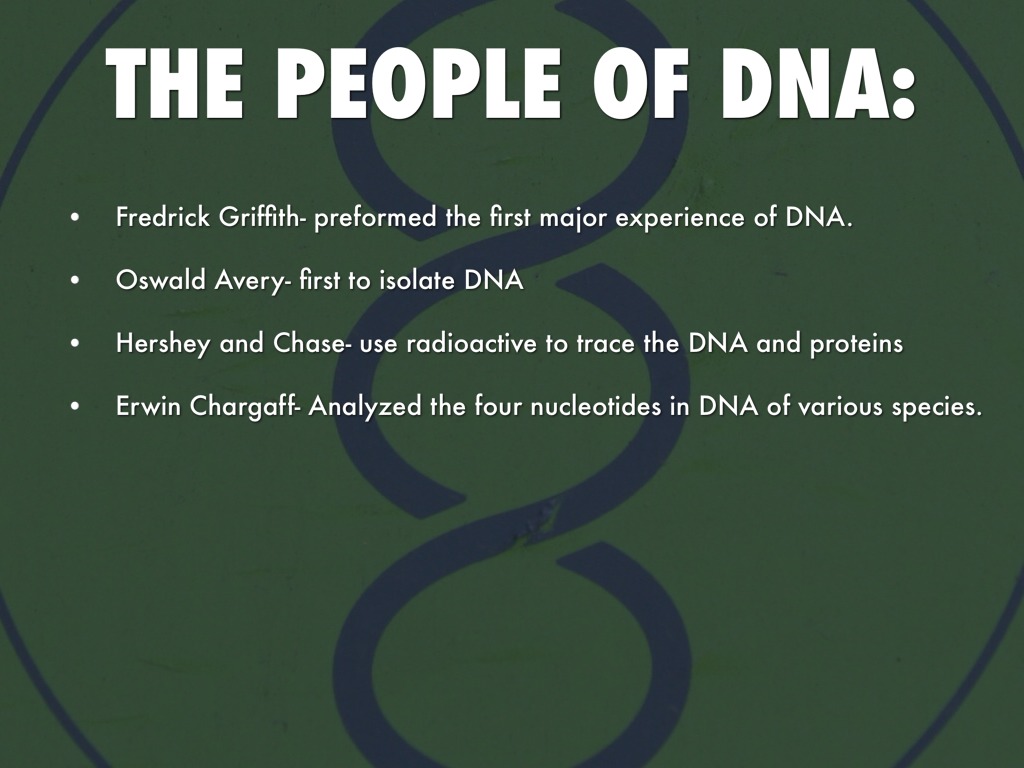 What Is Haiku Deck? by Ivy Rowley