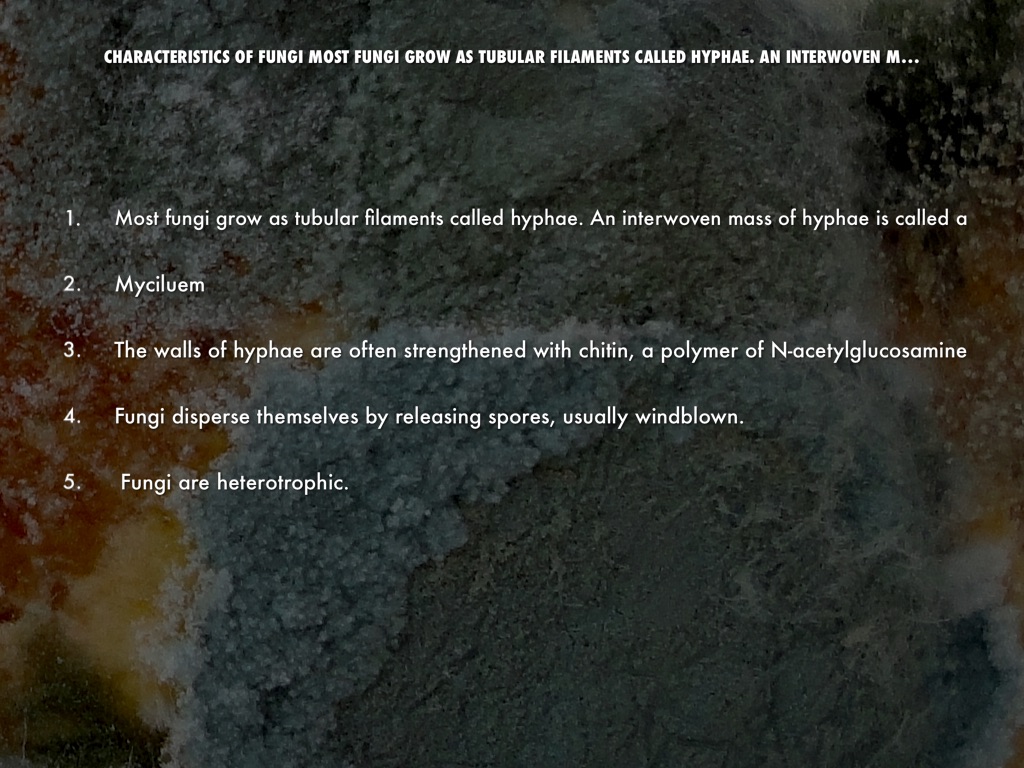 Science by Gyccghkvhghk Liuhui