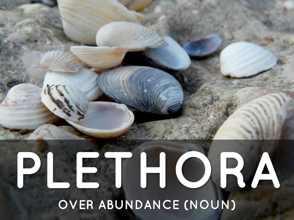 Quater 4 Vocabulary by Sydney Ruesink