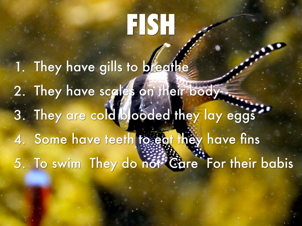 Marisol Lopez by Maria Ramirez