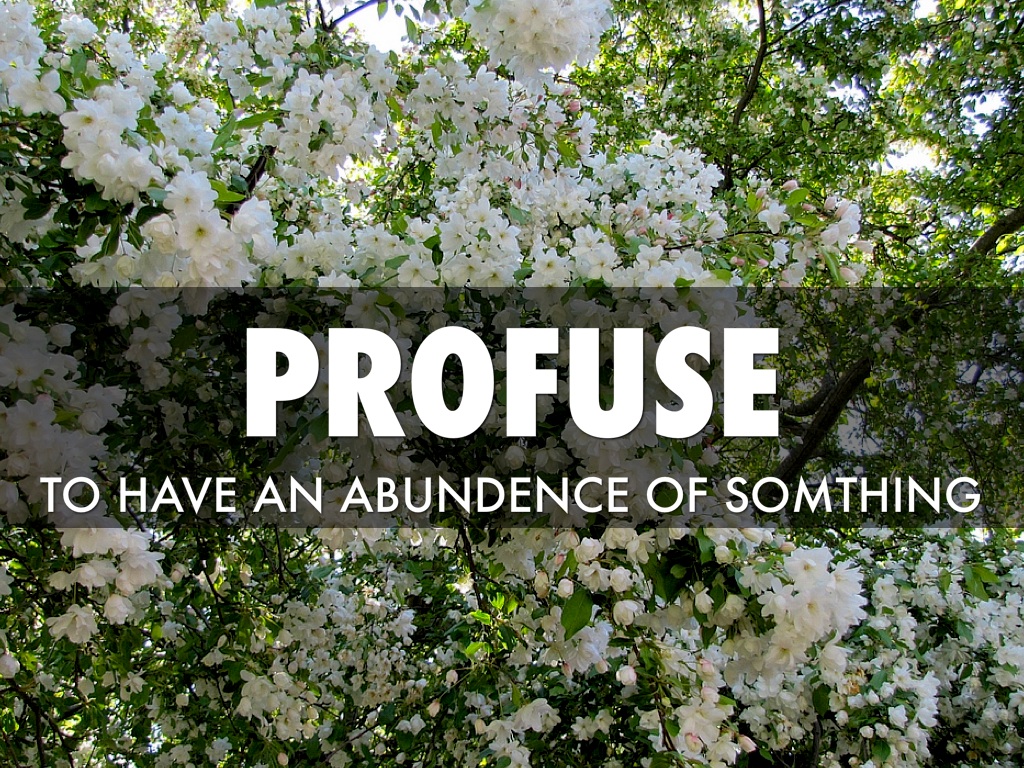 Morgan by Kathleen Thompson