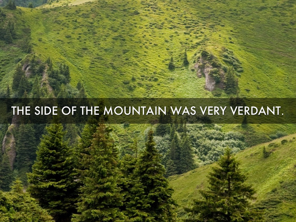 Vocabulary Words by Loren Latts