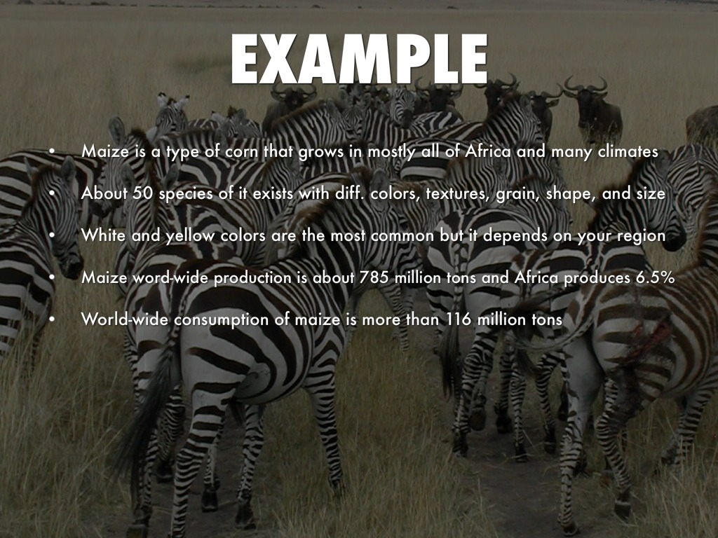 WG Project/Argulculture by jack rathe