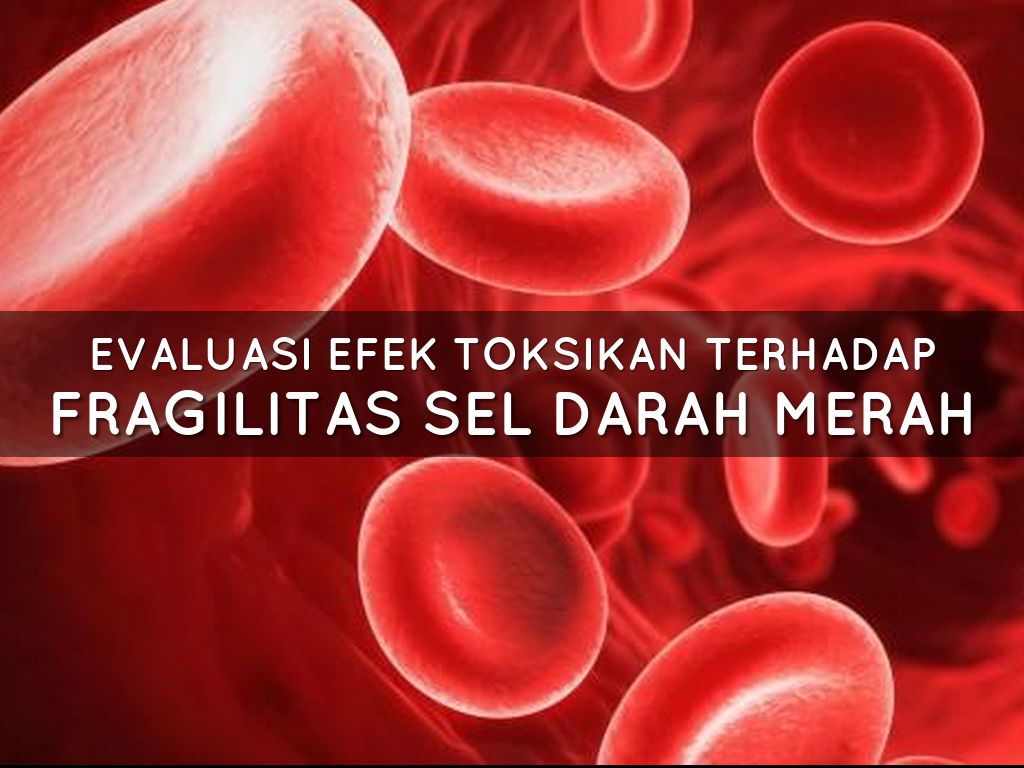 FRAGILITAS SEL DARAH MERAH by putrifamaliak