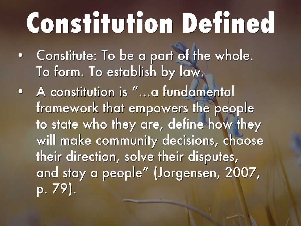 Feds & Constitution: Why & What? by Amy Gould