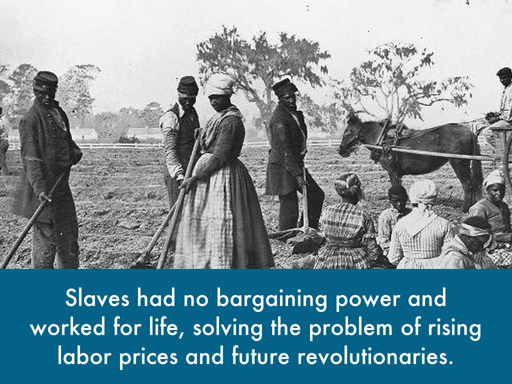 The Origins and Development of Slavery in America by