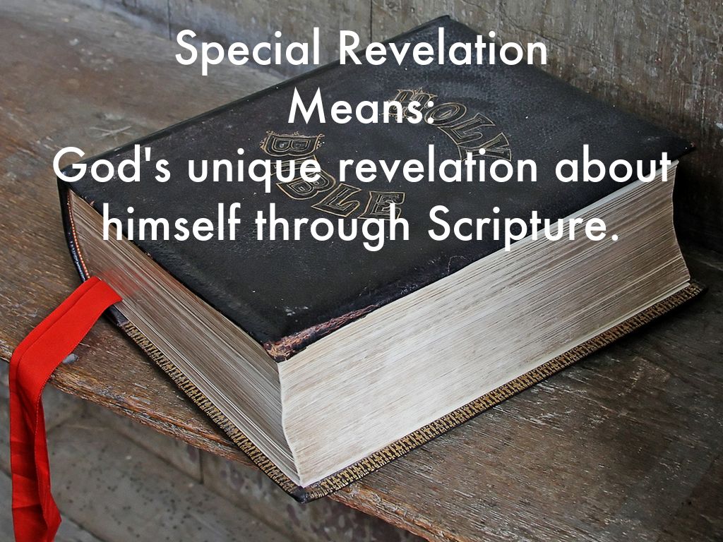 Special Revelations by rileylovesdogs