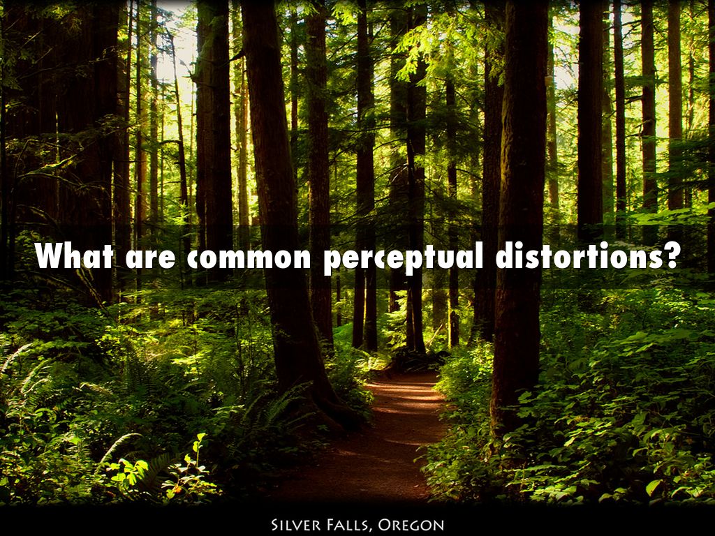 MGT 420 PG 125 by wendi ennis