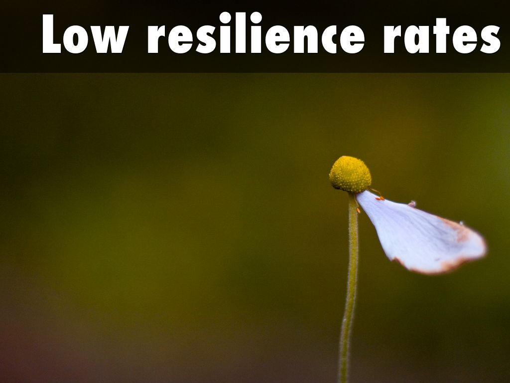 Promoting Pathways to Resilient Outcomes by Catherine