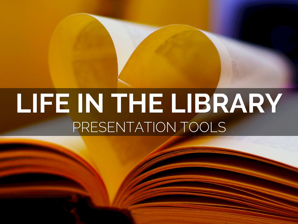 Life in the Library by Aimee Haslam