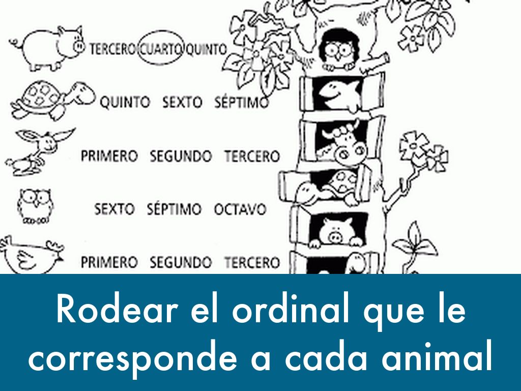 Número Ordinales by gaiayaz