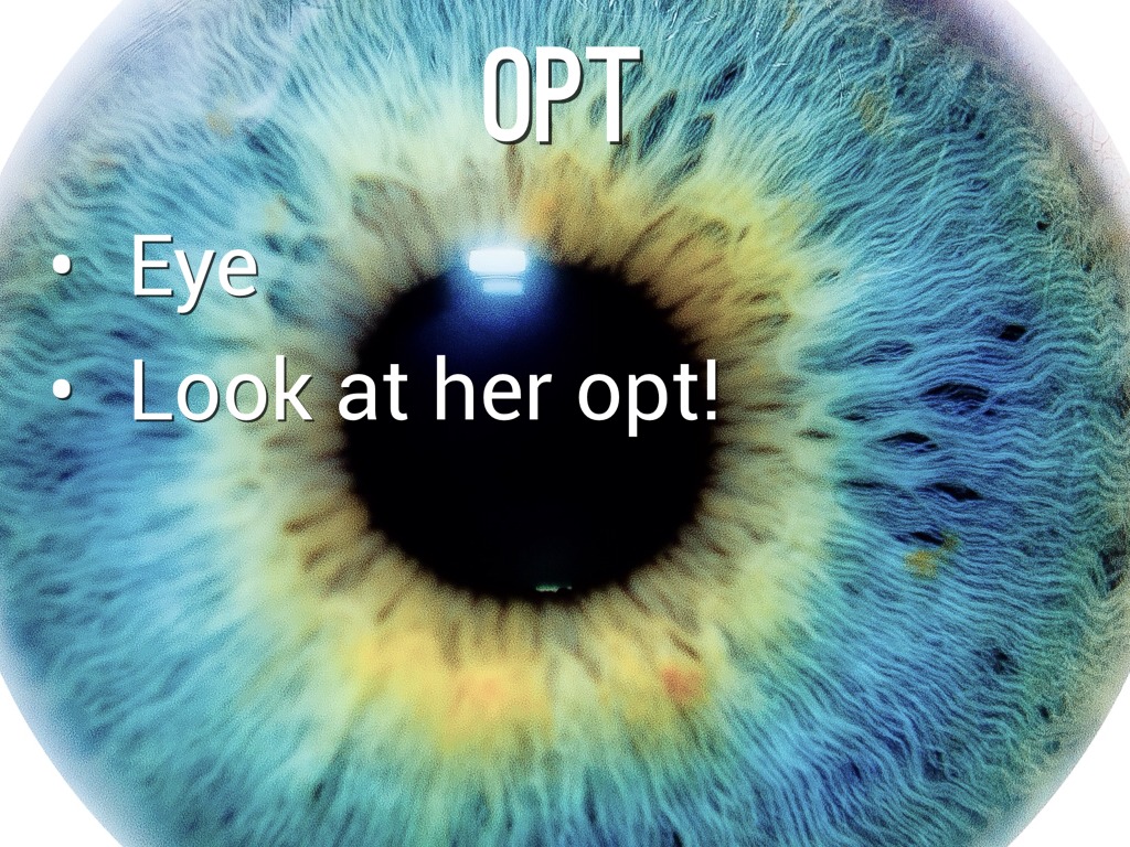 Vocabulary 10-12 by Eliazar Venegas