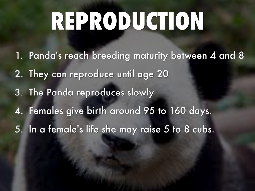 endangered animals by jill whitney