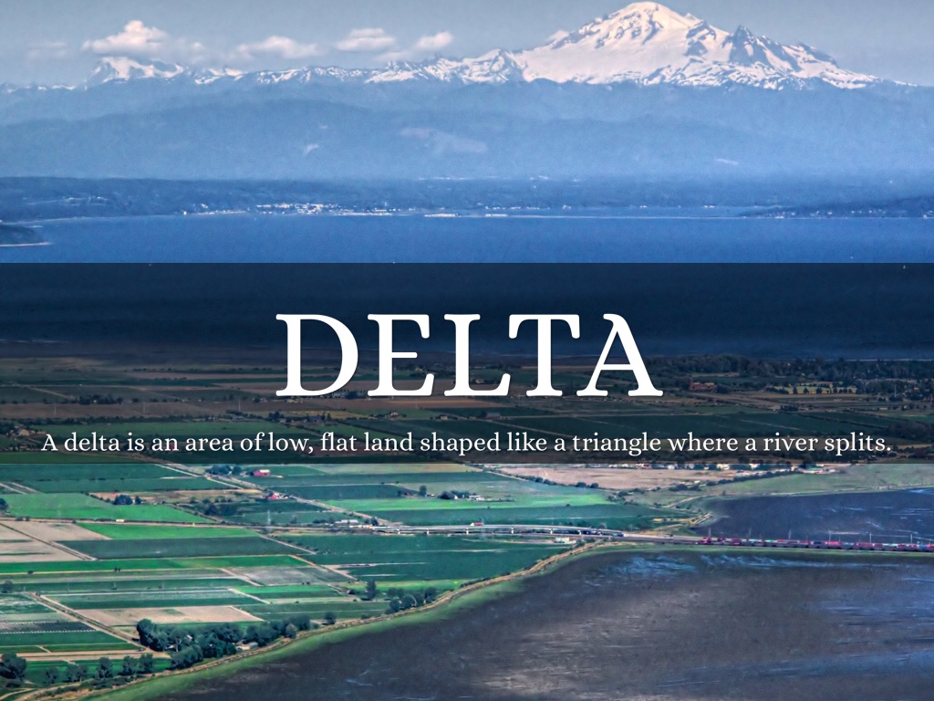 Social Studies Vocabulary by Rhiannon Hurley