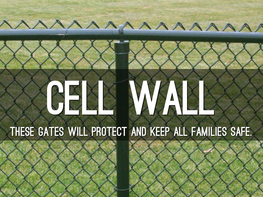 Cell Town by kajalp908