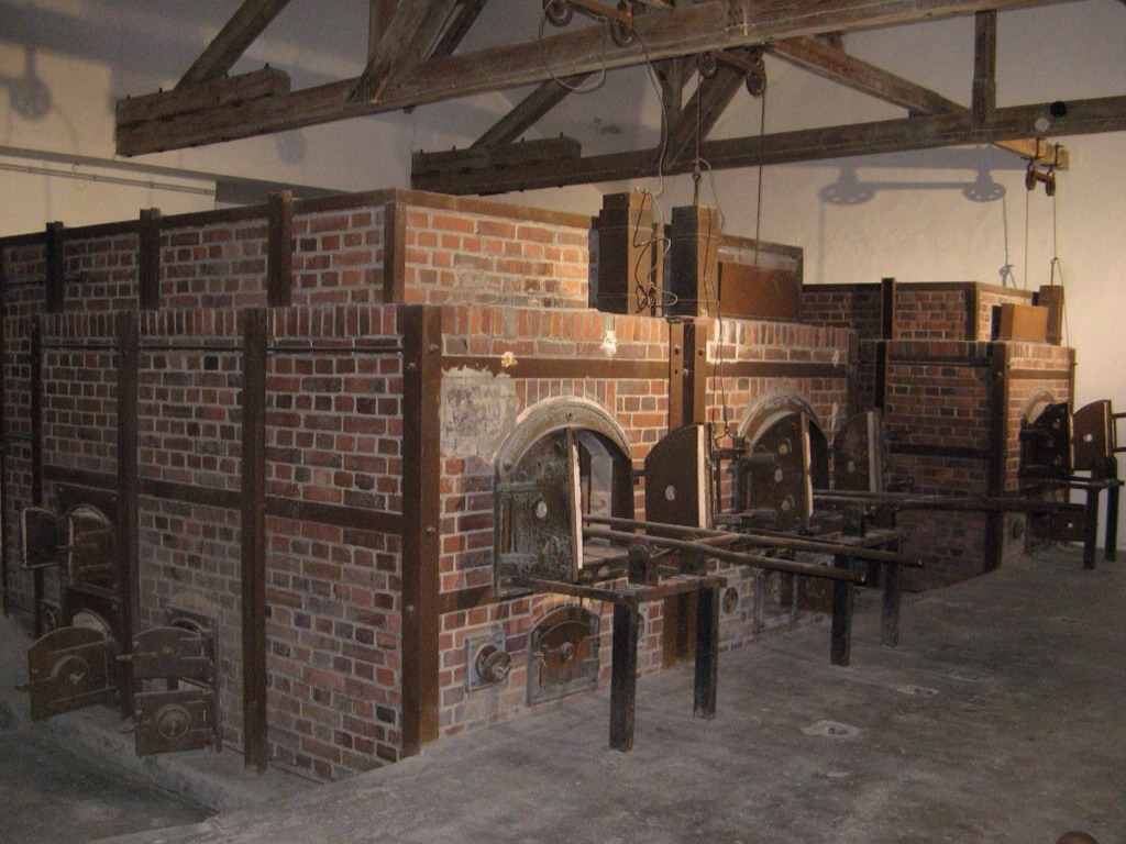 Genocide Project The HOLOCAUST By: Haley Stewart by