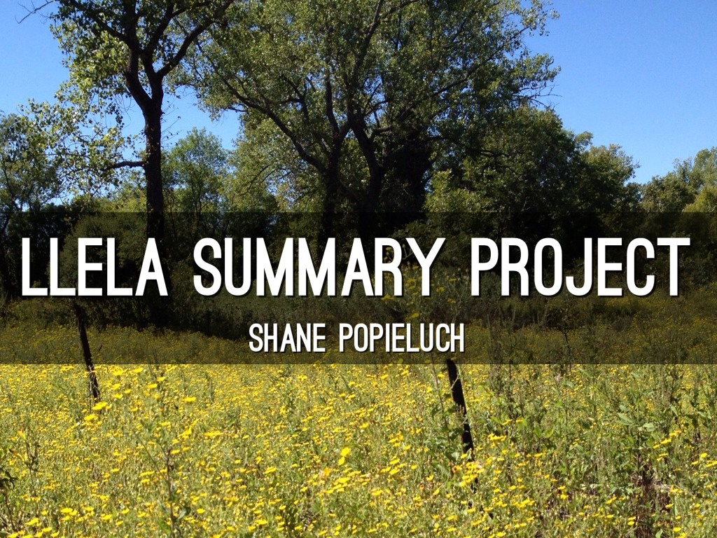 LLELA by shanepopiel7