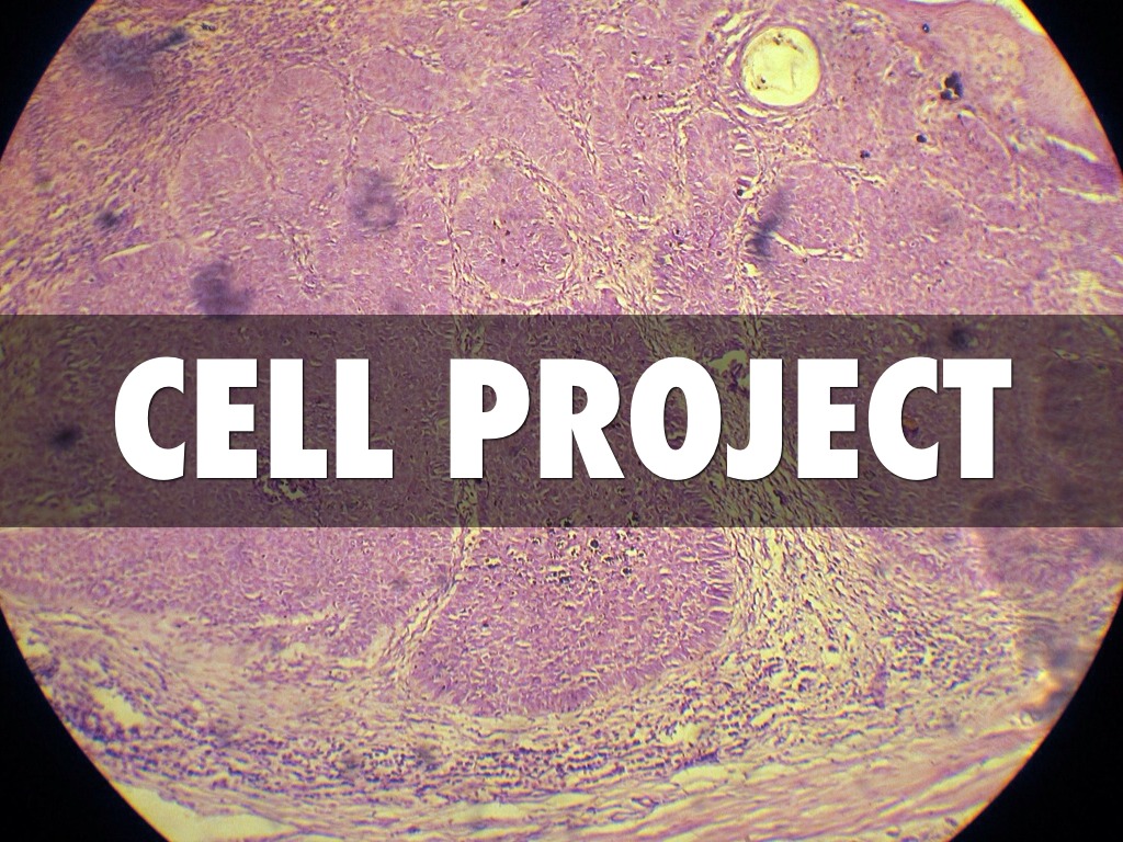 Cell Project by Dante Fiorani