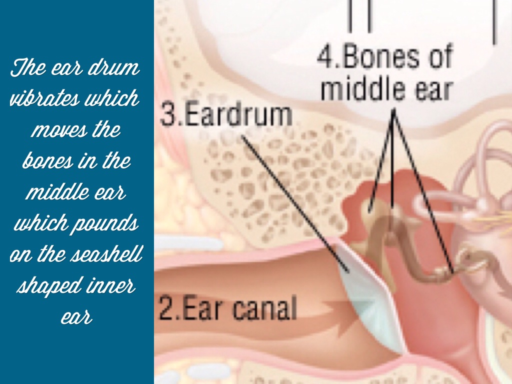 Sound Boom by Therrol Elliott