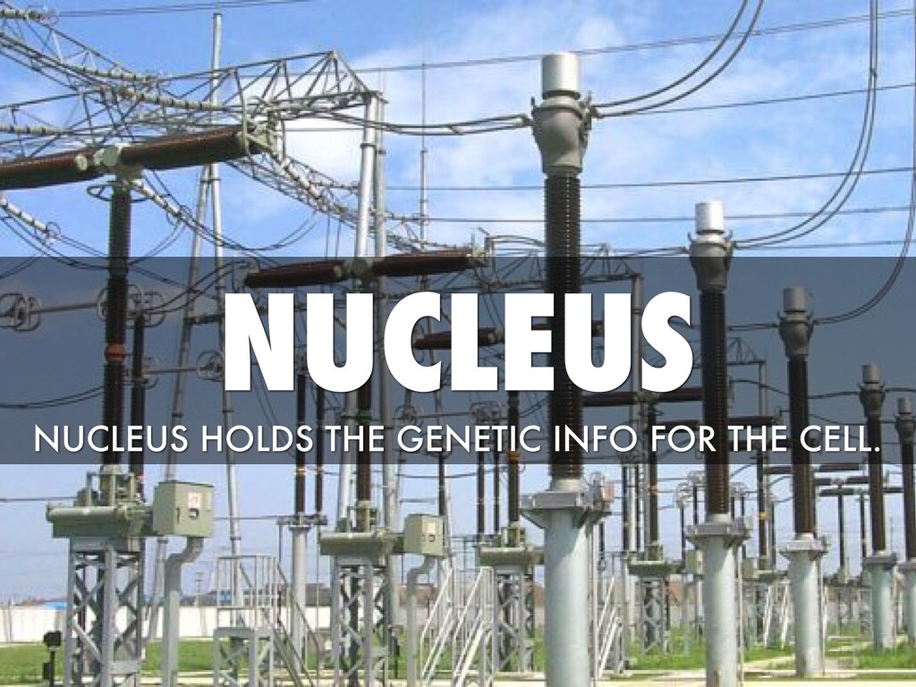 Copy of Croel cho 3 by Carson Croel