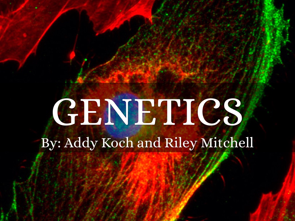 Genetics by Riley Mitchell