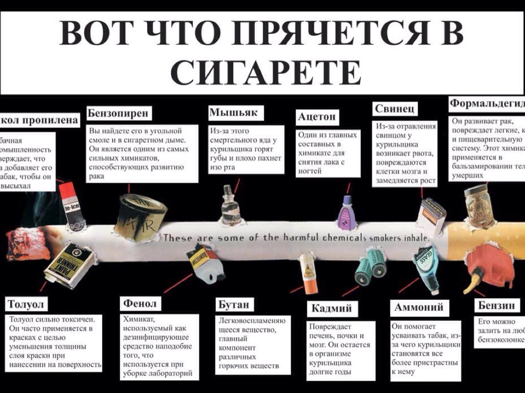Вред курения на сосуды By Даниил Костылев