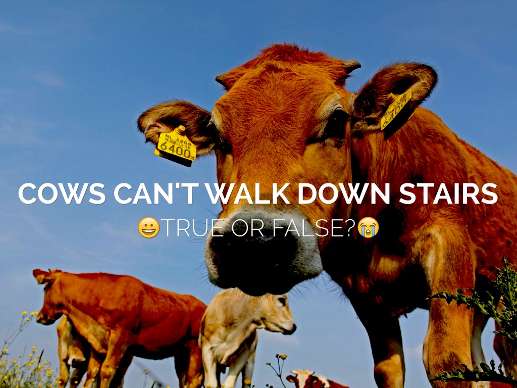 Fact Or Fiction #4 by Camille B