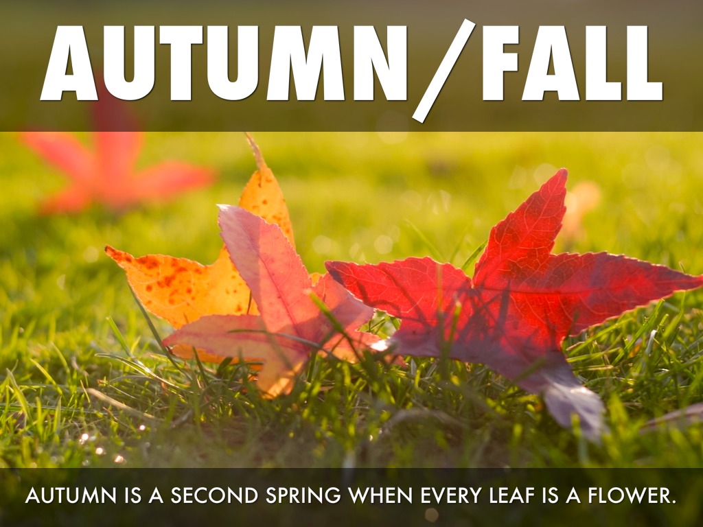 Seasons Of The Year by Elvira Deitg