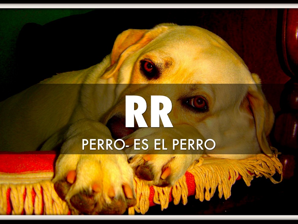 Mi Libro Del Alfabeto by Hayden Donham