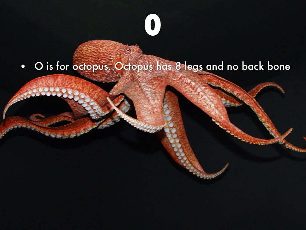 Abc Book by Jonathon James